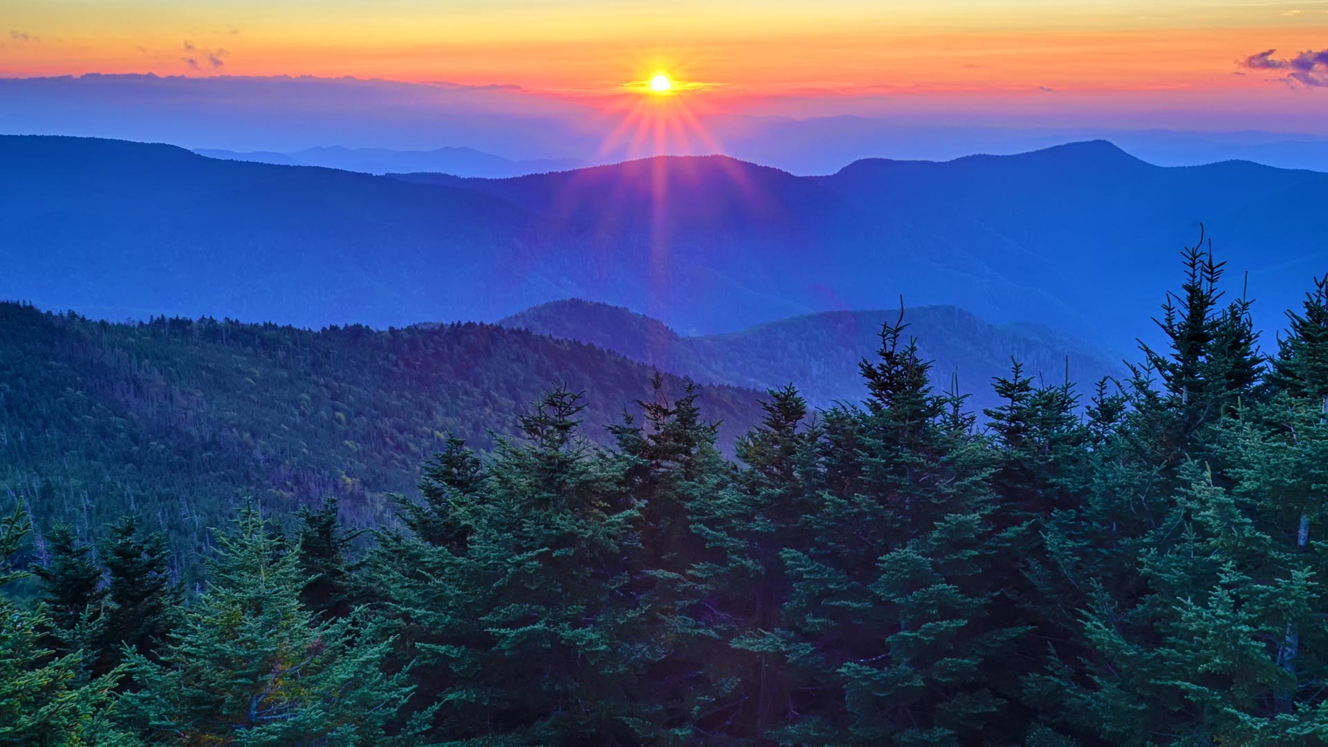 ->North Carolina Board of Funeral Service » NCBFS